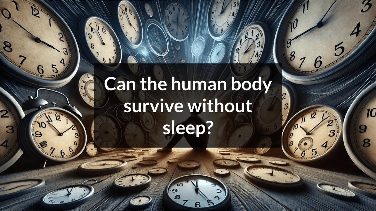 Can the human body survive without sleep? - Curiosity Unlocked