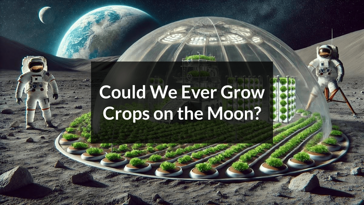 Could We Ever Grow Crops on the Moon? - Curiosity Unlocked