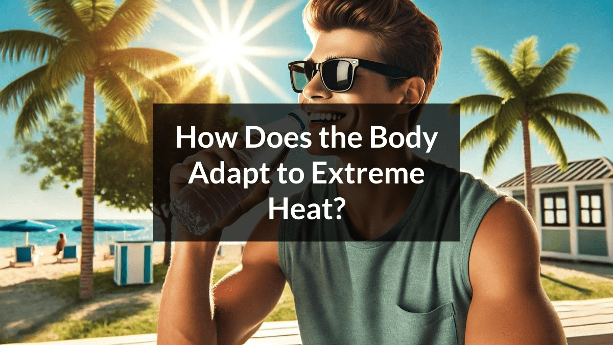 How Does the Body Adapt to Extreme Heat? - Curiosity Unlocked