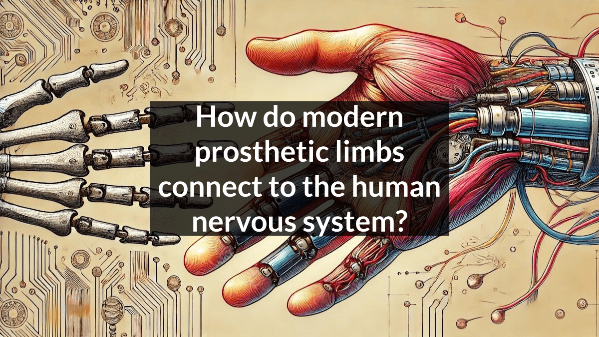 How do modern prosthetic limbs connect to the human nervous system ...