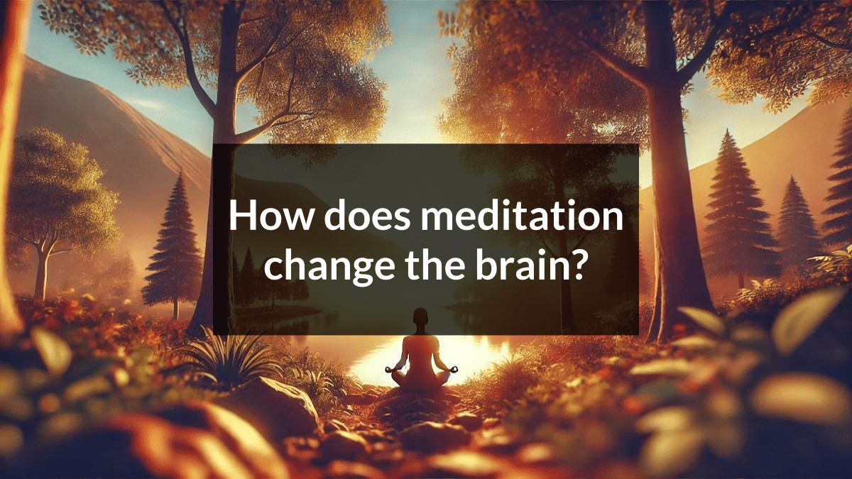 How does meditation change the brain? - Curiosity Unlocked