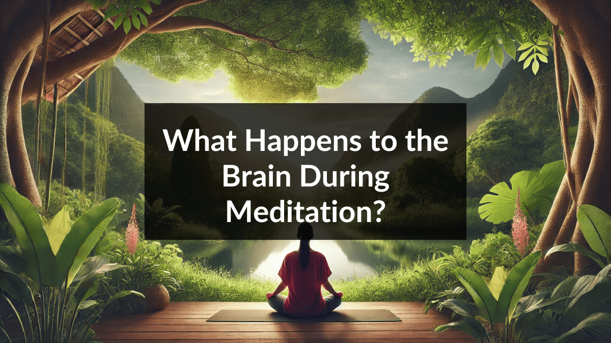 What Happens to the Brain During Meditation? - Curiosity Unlocked