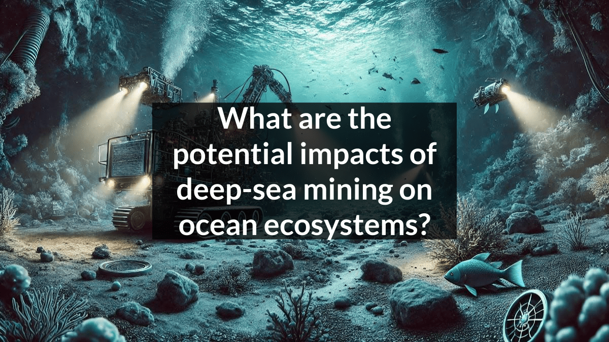 What are the potential impacts of deep-sea mining on ocean ecosystems ...