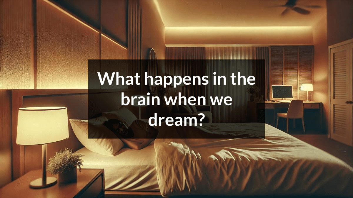 What happens in the brain when we dream? - Curiosity Unlocked