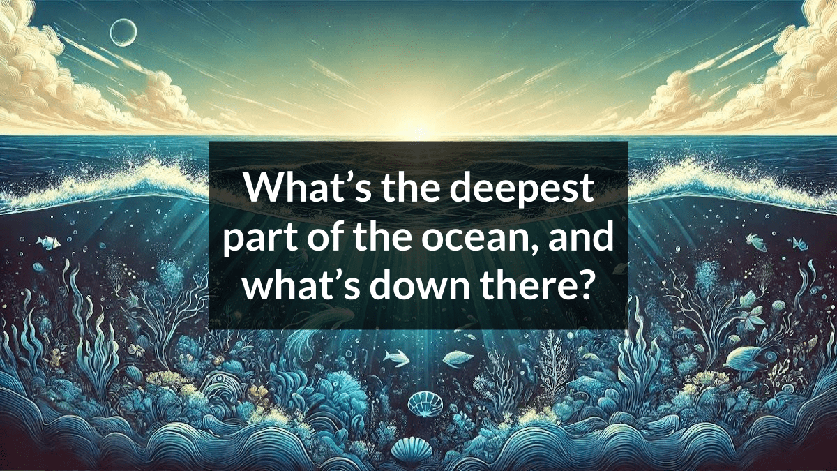 What’s the deepest part of the ocean, and what’s down there ...