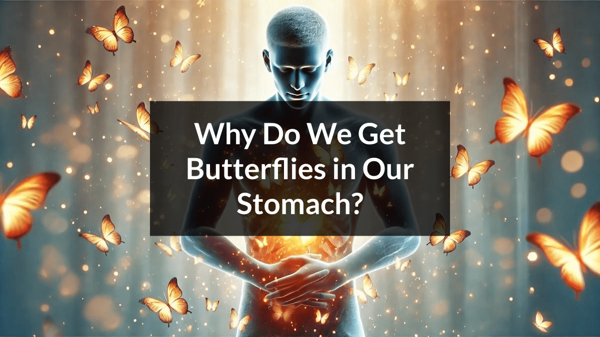 Why Do We Get Butterflies in Our Stomach? - Curiosity Unlocked