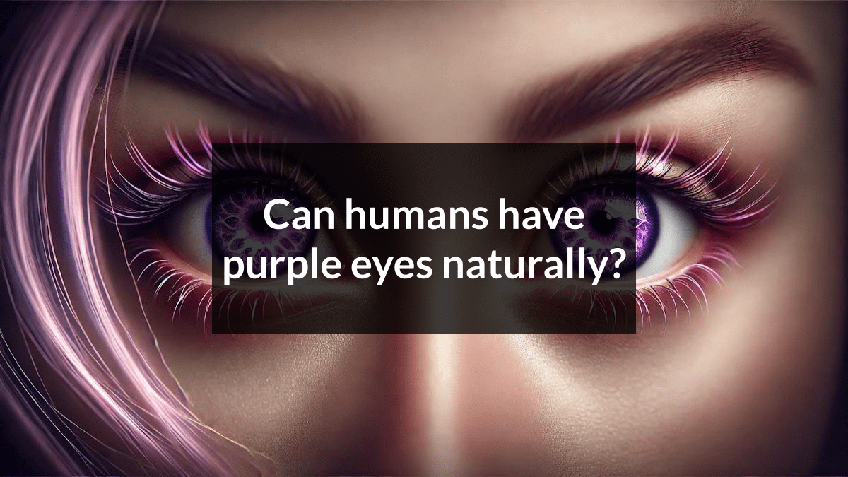 Can humans have purple eyes naturally? - Curiosity Unlocked