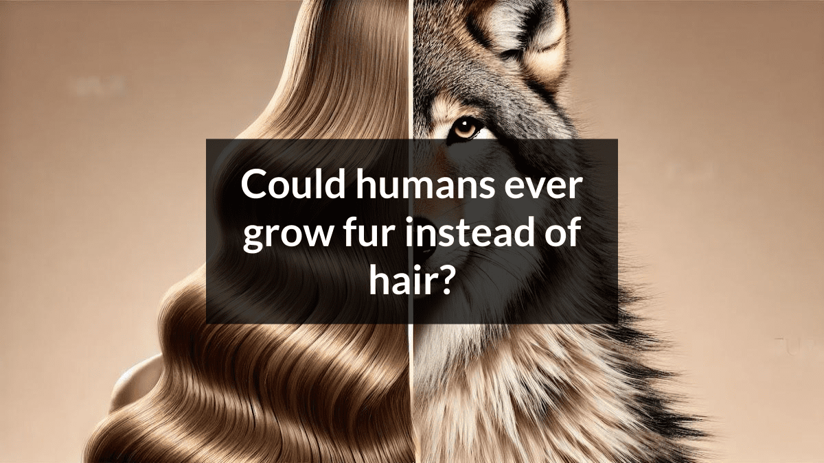 Could humans ever grow fur instead of hair? - Curiosity Unlocked
