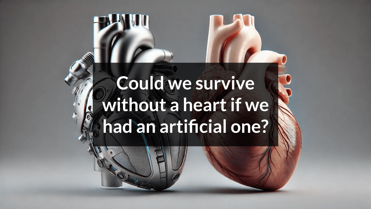 Could we survive without a heart if we had an artificial one ...
