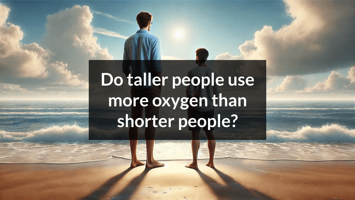 Do taller people use more oxygen than shorter people? - Curiosity Unlocked