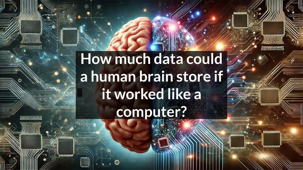 How much data could a human brain store if it worked like a computer? - Curiosity Unlocked