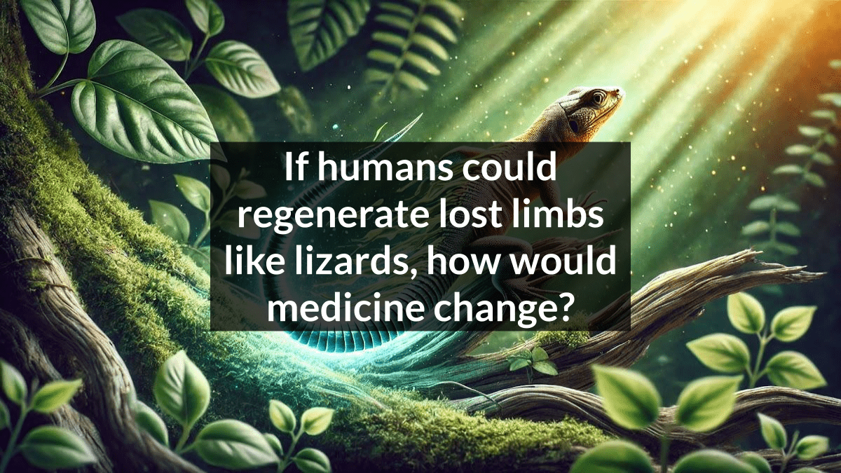 If humans could regenerate lost limbs like lizards, how would medicine ...