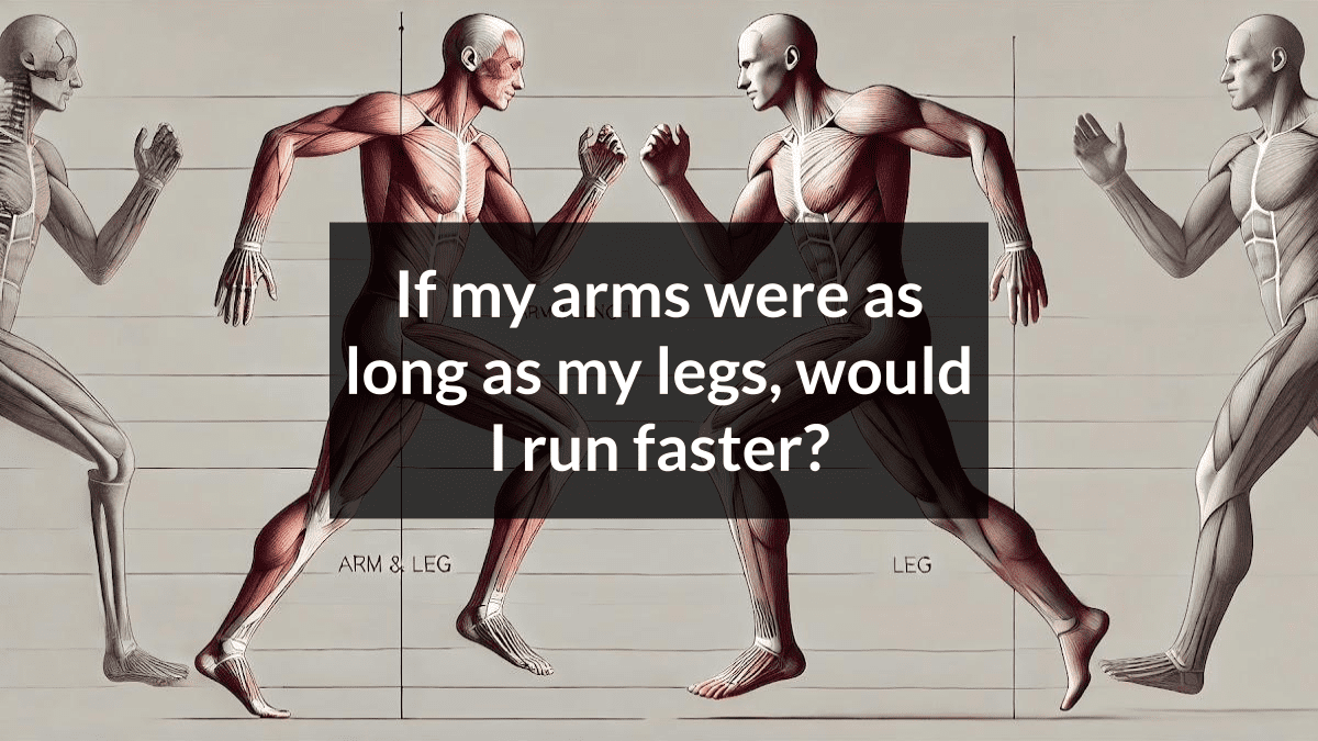 If my arms were as long as my legs, would I run faster? - Curiosity ...