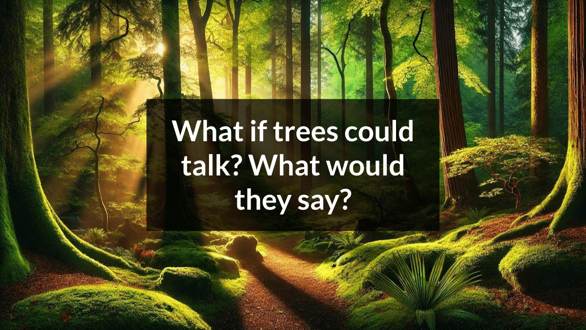 What if trees could talk? What would they say? - Curiosity Unlocked