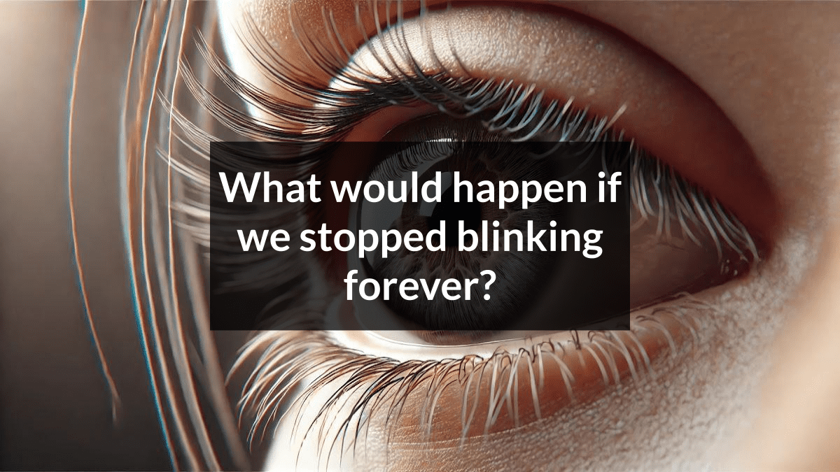 What would happen if we stopped blinking forever? - Curiosity Unlocked