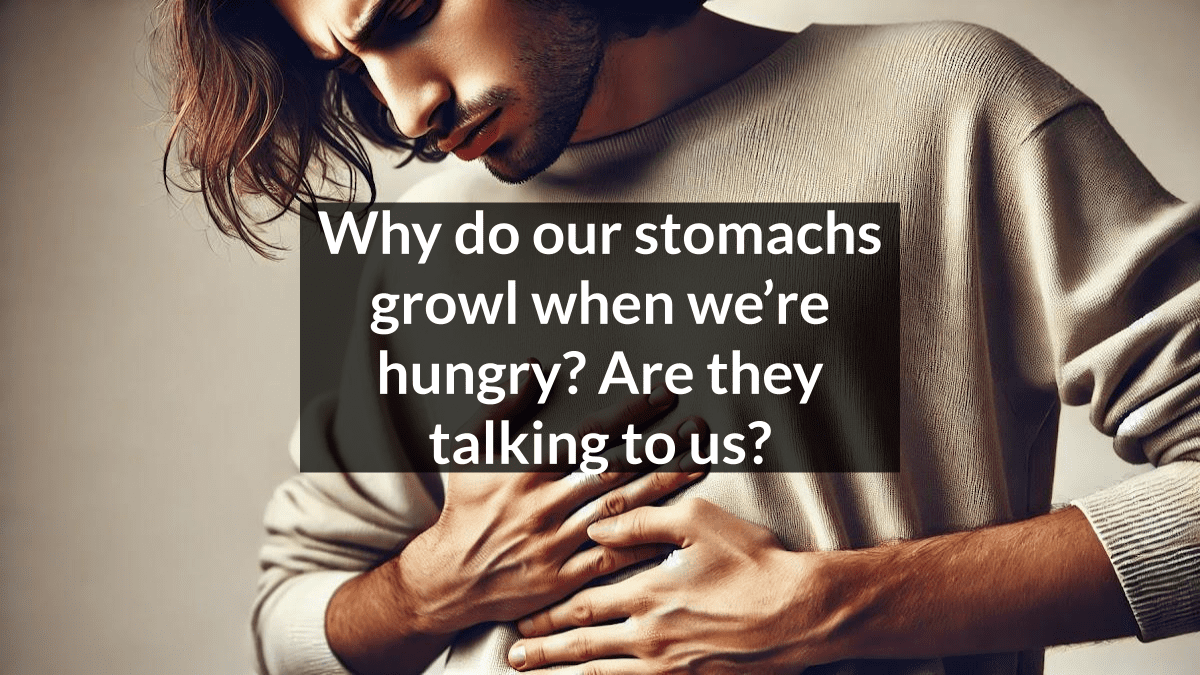 Why do our stomachs growl when we’re hungry? Are they talking to us ...