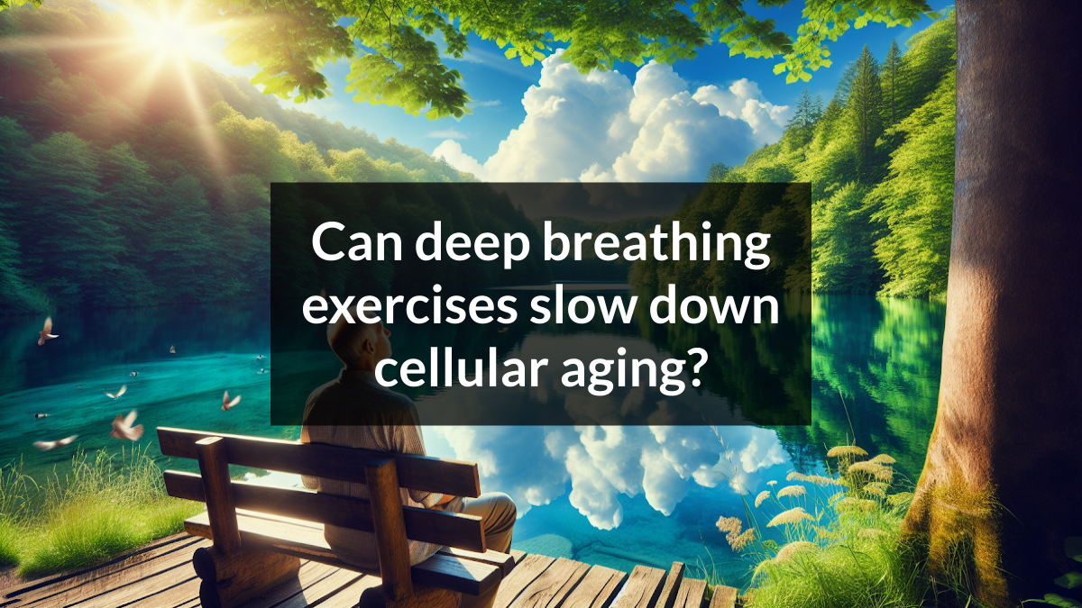 Can deep breathing exercises slow down cellular aging? - Curiosity Unlocked