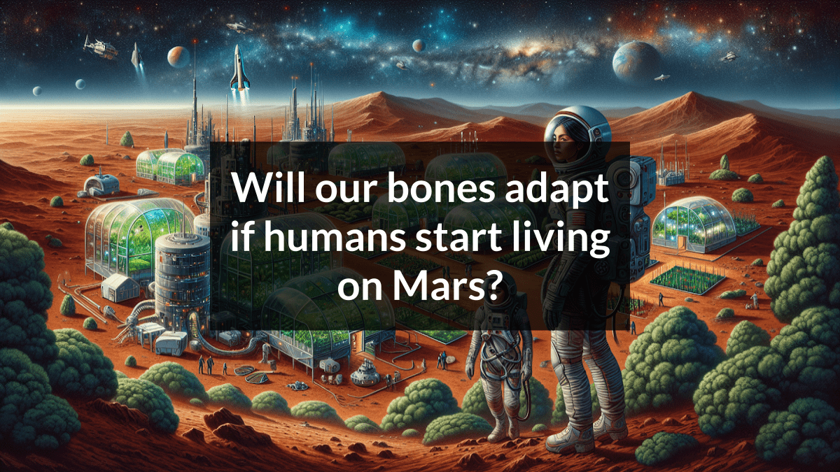 Will our bones adapt if humans start living on Mars? - Curiosity Unlocked