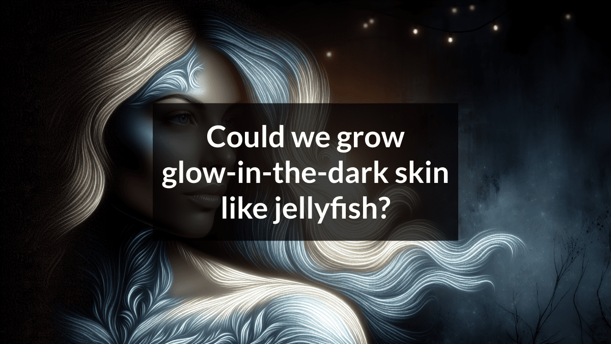 Could we grow glow-in-the-dark skin like jellyfish? - Curiosity Unlocked